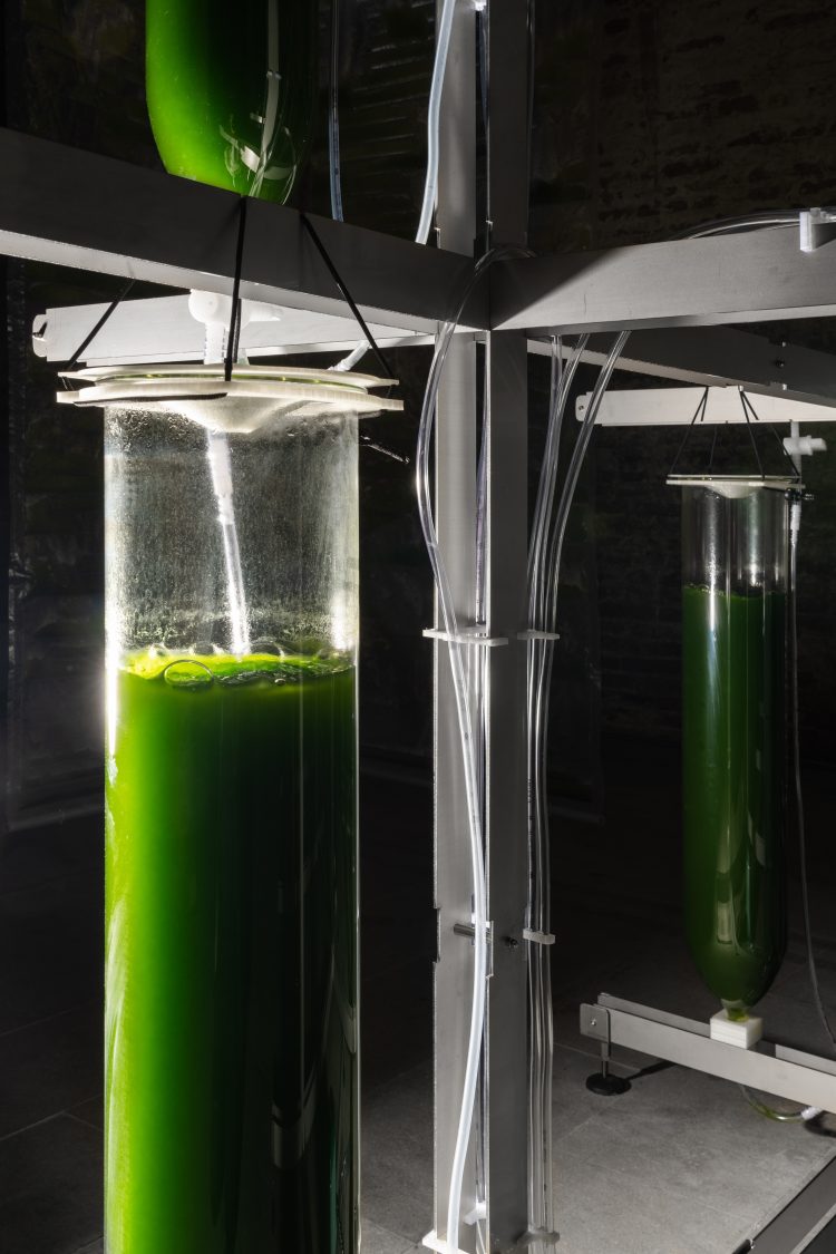 BIT.BIO.BOT | ecoLogicStudio